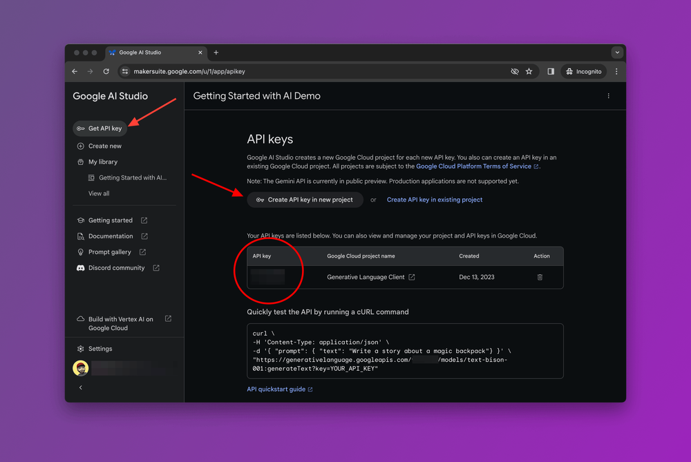 How to use Gemini Pro and Pro Vision in Google AI Studio