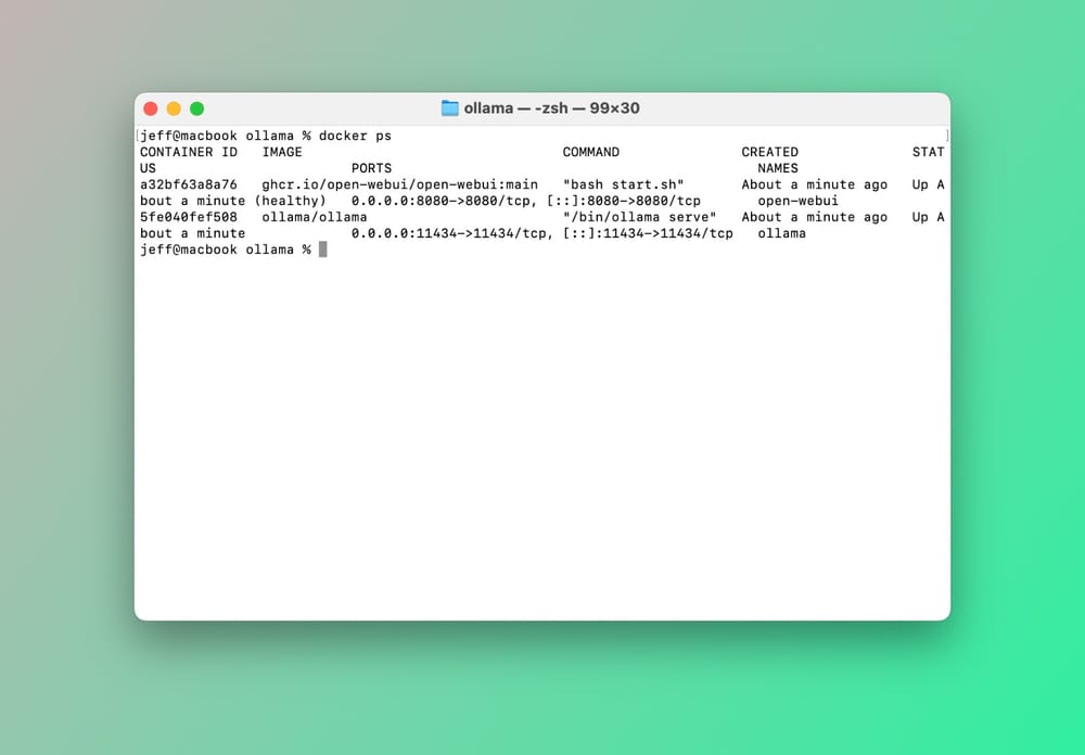Self Hosted Private Llm Using Ollama And Open Webui