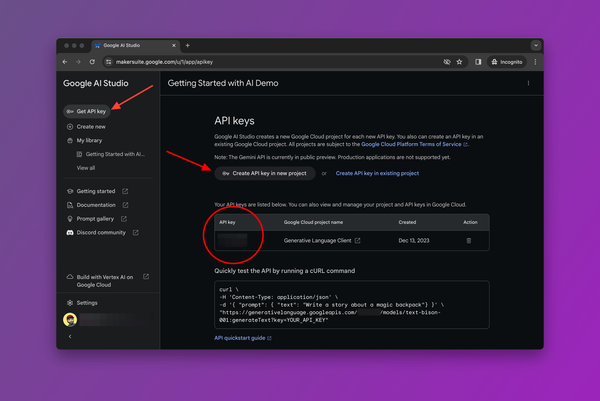 How to use Gemini Pro and Pro Vision in Google AI Studio