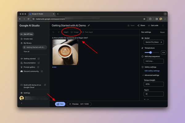 How to use Gemini Pro and Pro Vision in Google AI Studio